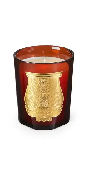 TRUDON Cire Candle 270 - Beeswax Absolute