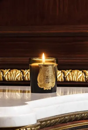 TRUDON Gabriel Candle 270 - Gourmand Chimney Fire