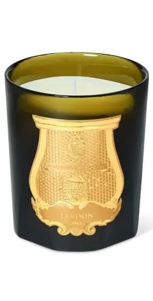 TRUDON Gabriel Candle 270 - Gourmand Chimney Fire