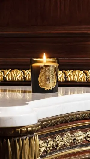 TRUDON Gabriel Candle 270 - Gourmand Chimney Fire