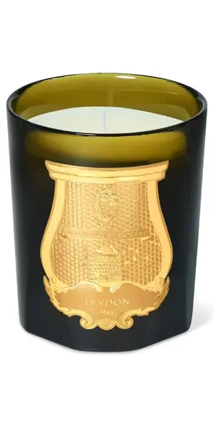 TRUDON Ernesto Candle 270 - Leather And Tobacco