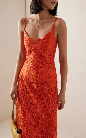 Simkhai Phoenix Embroidered Lace Maxi Dress