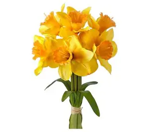 VALERIE PARR HILL Daffodile Bunch 13' Set Of 2 Valerie - One-color