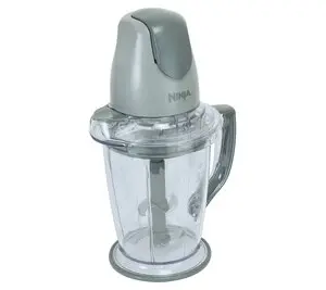 NINJA Master Prep Chopper And Blender