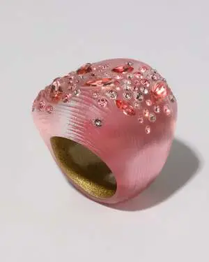 Alexis Bittar Confetti Crystal Lucite Puffy Ring