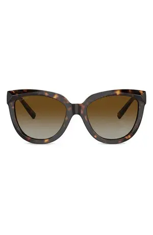 Tiffany & Co. 53mm Gradient Polarized Cat Eye Sunglasses - Havana
