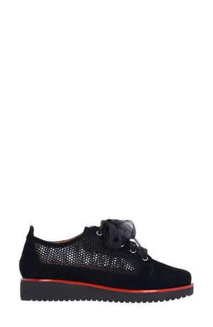 L'AMOUR DES PIEDS Zafira Derby - Black