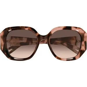 Chloé 56mm Square Sunglasses - Havana