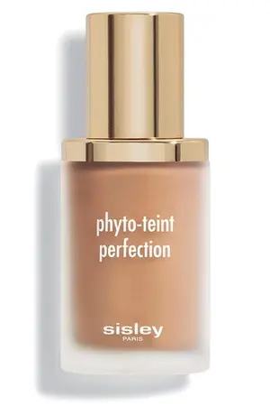 HAIR RITUEL BY SISLEY Phyto-teint Perfection Foundation - 6n Sandalwood