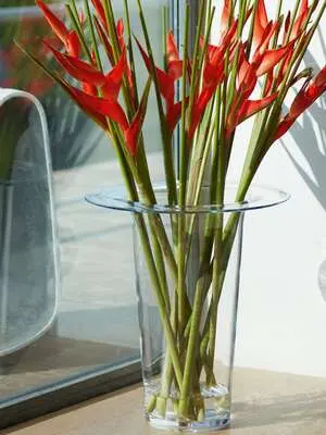LSA INTERNATIONAL Medium Victoria Glass Vase