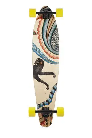 Hermès Multicolor Savana Dance Wood Long Board