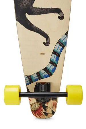 Hermès Multicolor Savana Dance Wood Long Board