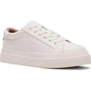 Blondo Lace Sneakers For Women