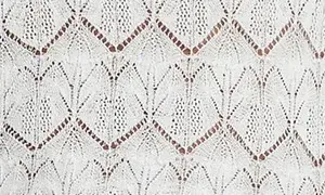 Vince Long Sleeve Cotton Lace Top