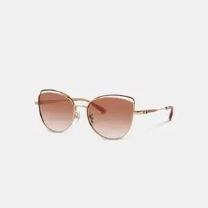 COACH Bandit Wire Oval Sunglasses - Pink/brown