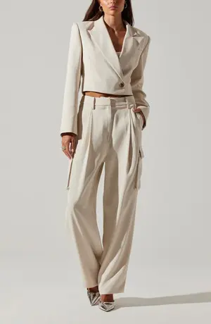 Astr The Label Denison Pleated Cargo Trousers