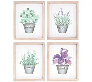 SUNSET VISTA DESIGNS Melrose Framed Watercolor Herb Print - One-color