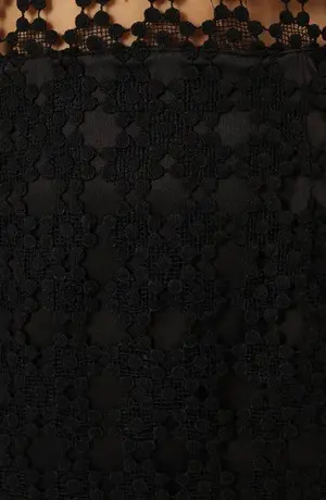 PETAL & PUP Lauren Lace Overlay Dress - Black