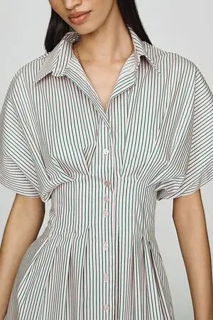 EXQUISE Tobie Shirt Dress With Exaggerated Sleeves And Pleats - Pink/green Stripe