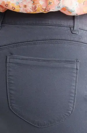 Wit & Wisdom Ab'solution Straight Leg Stretch Twill Pants