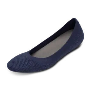 Allbirds Tree Breezers Ballerina Flats Blue