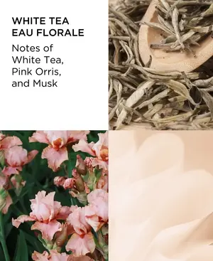 Elizabeth Arden White Tea Eau Florale Eau De Toilette
