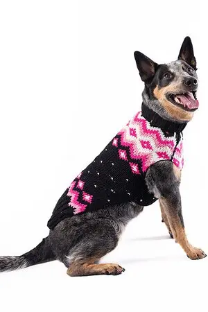 CHILLY DOG Fairisle Wool Dog Sweater - White