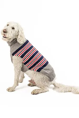 CHILLY DOG Charlie Stripe Dog Sweater - White