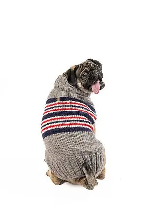 CHILLY DOG Charlie Stripe Dog Sweater - White