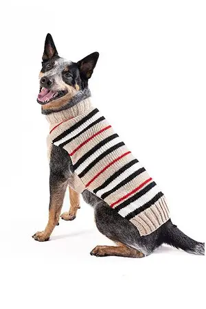 CHILLY DOG Bentley Stripe Dog Sweater - White