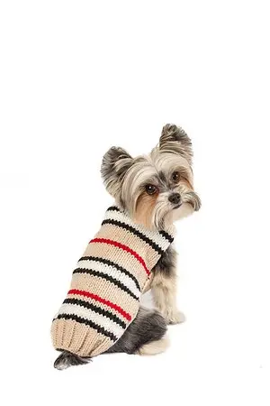 CHILLY DOG Bentley Stripe Dog Sweater - White