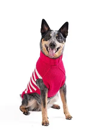 CHILLY DOG Striped Dog Sweater
