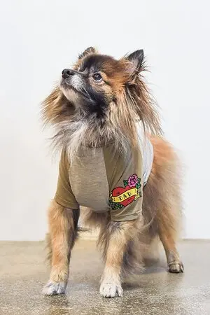 MODERNBEAST Dad Tattoo Tee - Olive