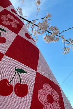 OVERSEASONED Cherry Picnic Tote Bag