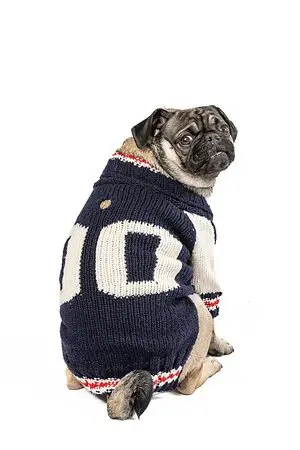 CHILLY DOG Varsity Knit Sweater