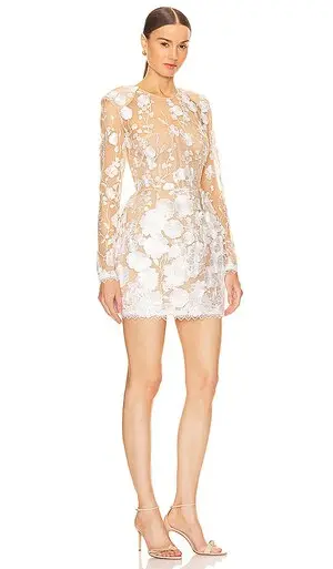 BRONX BANCO Floral Embroidered Mini Dress