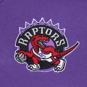 Mitchell & Ness Purple Toronto Raptors Head Coach Pullover Hoodie