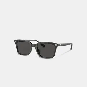 COACH® Coach Narrow Square Sunglasses Transparent Dark Grey