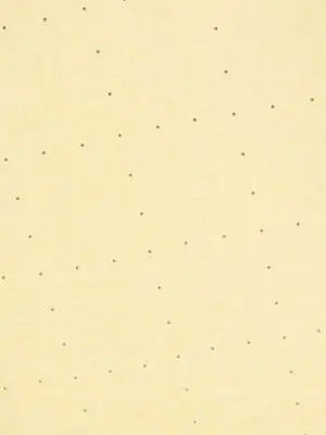 Fabiana Filippi Stud-detail Poplin Scarf