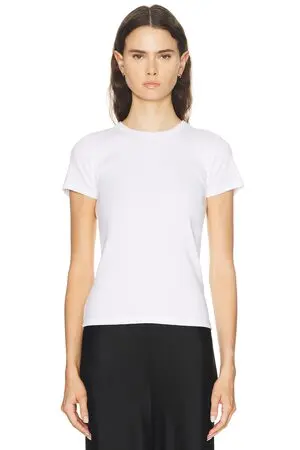 Fit T Shirts