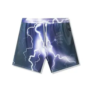 ANTI SOCIAL SOCIAL CLUB Hydroplane Shorts - Multicolor