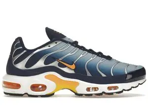 Nike Air Max Plus Sneakers