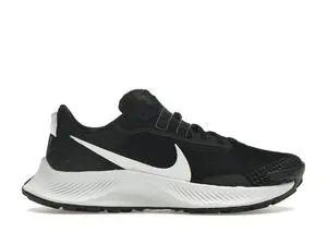 Nike Pegasus Trail 2 Platinum Sneakers