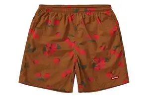 Supreme Nylon Water Short (ss19) Brown Cherry