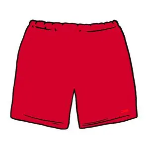 Supreme Nylon Water Short Red