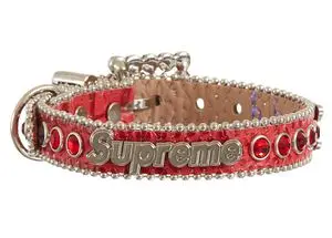 Supreme B.b. Simon Studded Dog Collar - Red