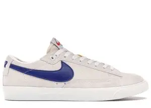 Nike Blazer Low Polar Skate Coin Sneakers