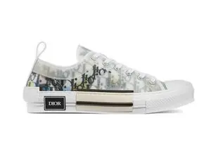 Dior B23 Low Top Sneakers - White