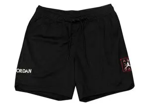 Nike Jordan Aj5 Shorts