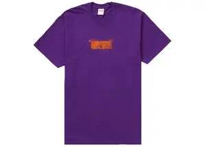 Supreme Ralph Steadman Box Logo Tee Shirt - Purple